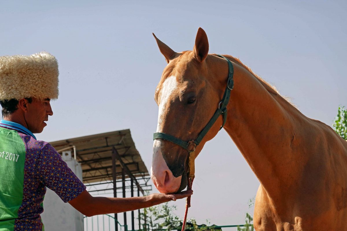 Turkmenistan - Home Page, Welcome...