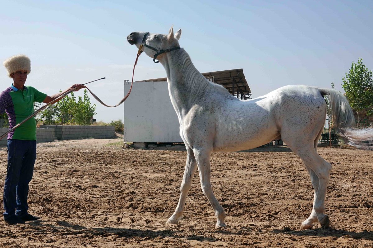 Turkmenistan - Home Page, Welcome...